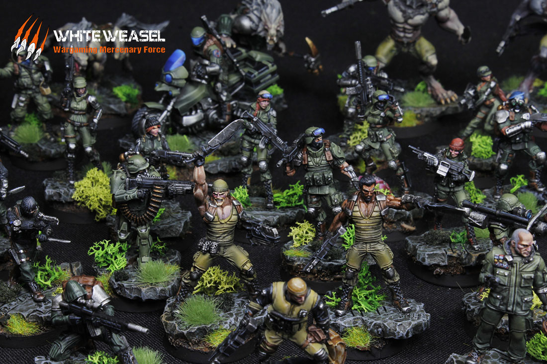 Infinity Usariadna army - White Weasel Studio