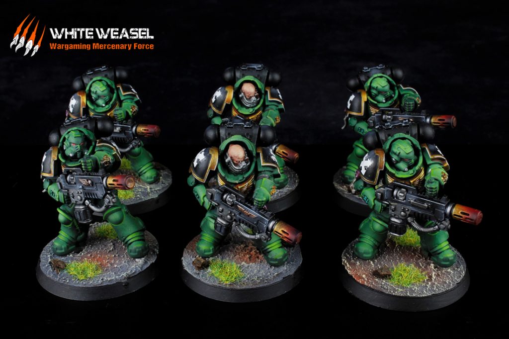 WH40K Indomitus Box Set (Salamanders vs. Novokh) - White Weasel Studio